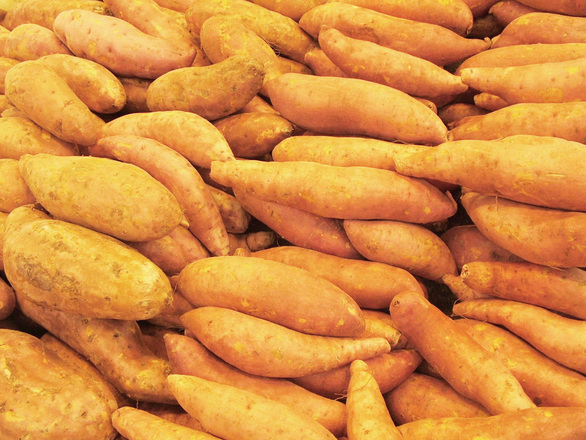 Potato, batata – Mashed Radish